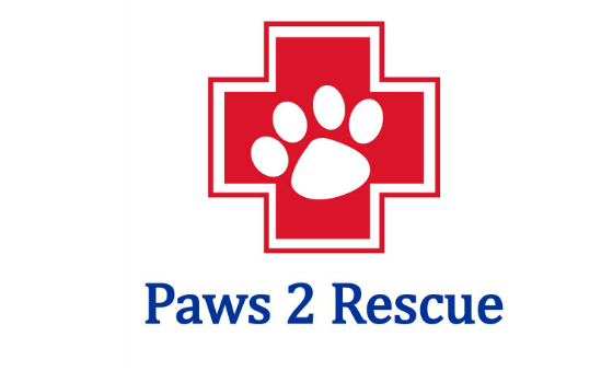 Paws2rescue | Animal Rescue, Centres & Homes - Animals Charities ...