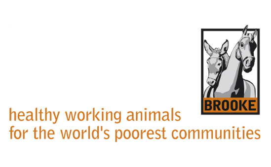 The Brooke Hospital For Animals | Working Animals - Animals Charities ...