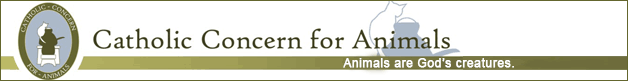 Catholic & Christian Charities Directory includes Christian Aid ...