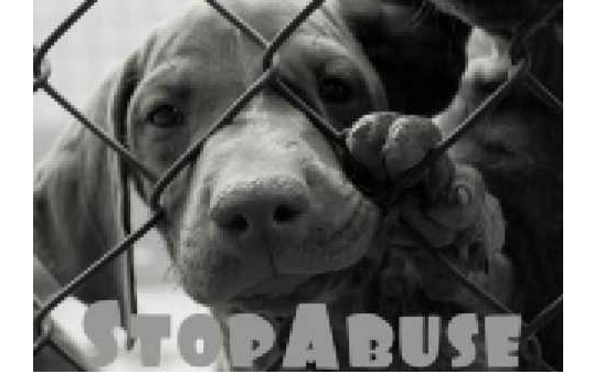 Animals Of Hope - Leave a Legacy | Animals Charities | Charity ...