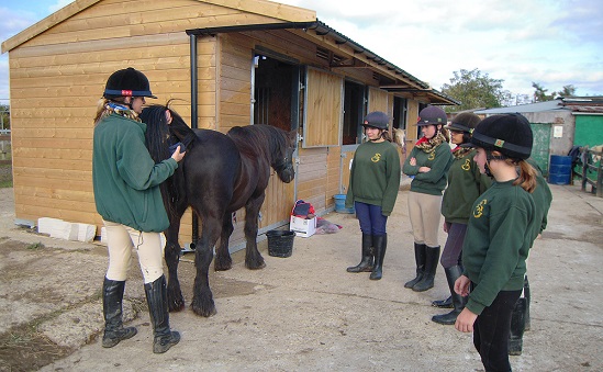 Windsor Horse Rangers Limited | Other - Children & Youth Charities ...