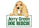 International Animal Rescue | Animal Rescue, Centres & Homes - Animals ...