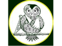 Hessilhead Wildlife Rescue Trust | Animal Rescue, Centres & Homes ...