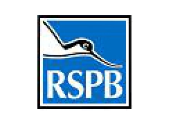 RSPB (The Royal Society for the Protection of Birds) | Animal Rescue ...